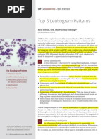 Top 5 Leukogram Patterns Explained | PDF | White Blood Cell | Lymphocyte