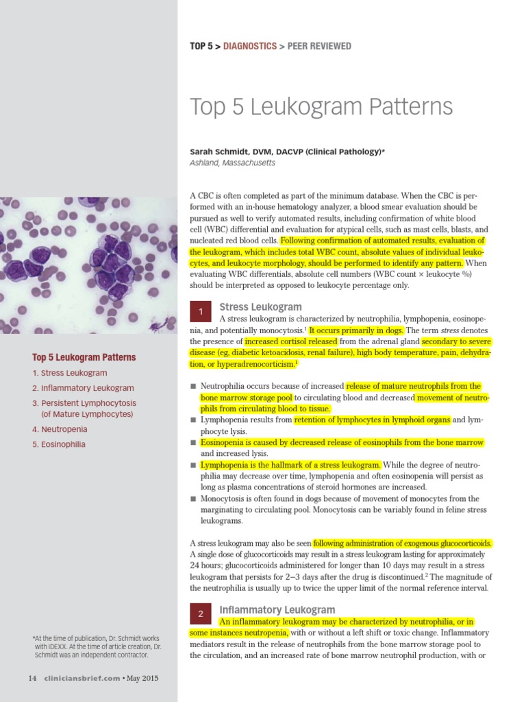 Top 5 Leukogram Patterns | PDF | White Blood Cell | Lymphocyte