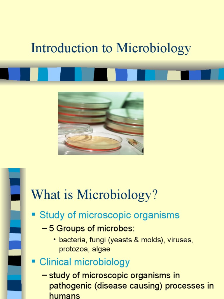 1A Introduction To Microbiology Handouts | PDF | Bacteria ...