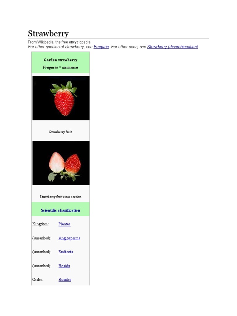 Garden Strawberry | PDF | Strawberry | Horticulture And Gardening