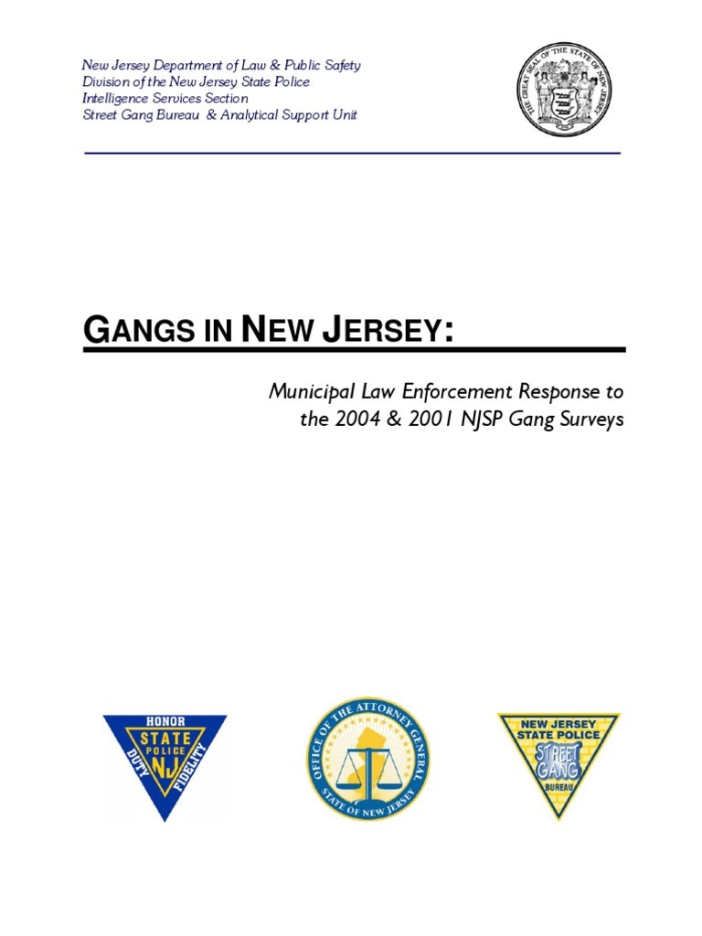 Gangs in New Jersey | PDF | Gang | Survey Methodology