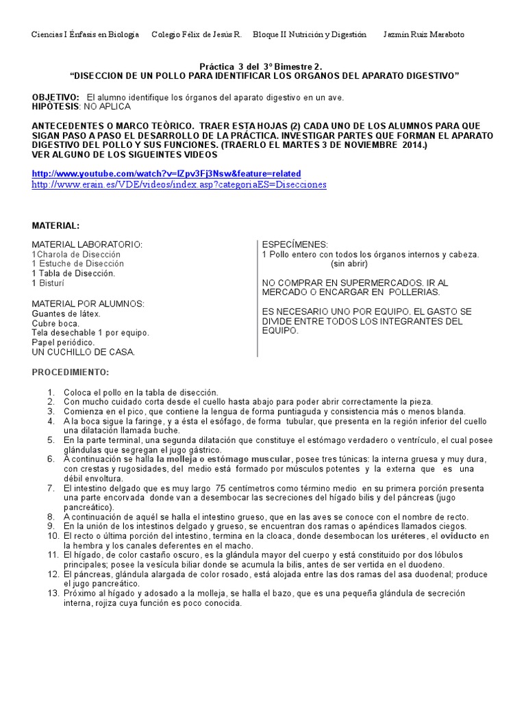 Práctica Disección Pollo | PDF | Páncreas | Sistema digestivo