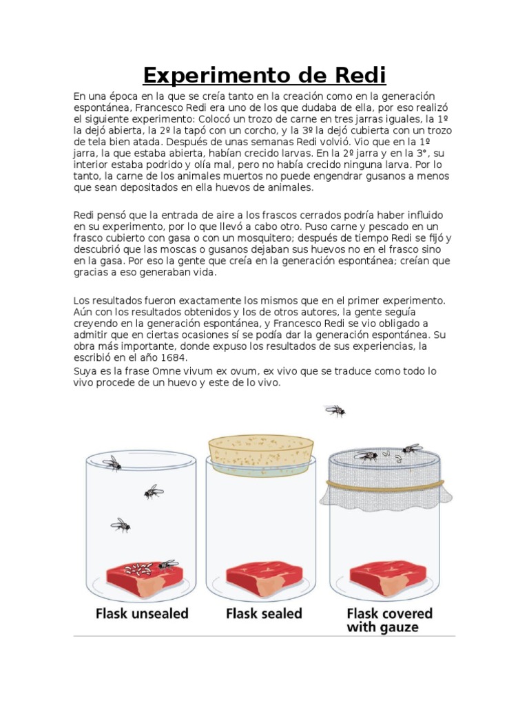 Experimento de Redi | PDF