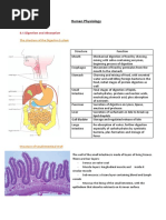 Adaptations of the Small Intestine for Absorption | PDF