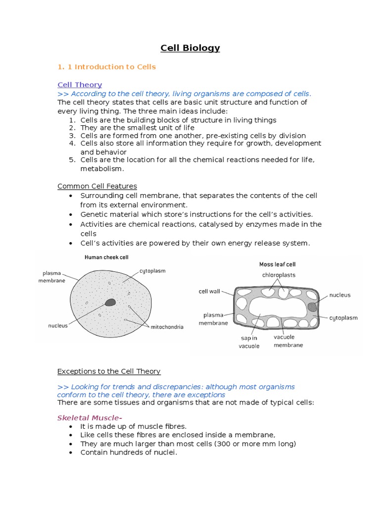 Cell Biology Notes | PDF | Mitosis | Cell Membrane