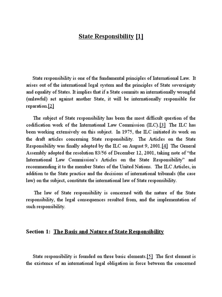 State Responsibility | International Relations | International Politics