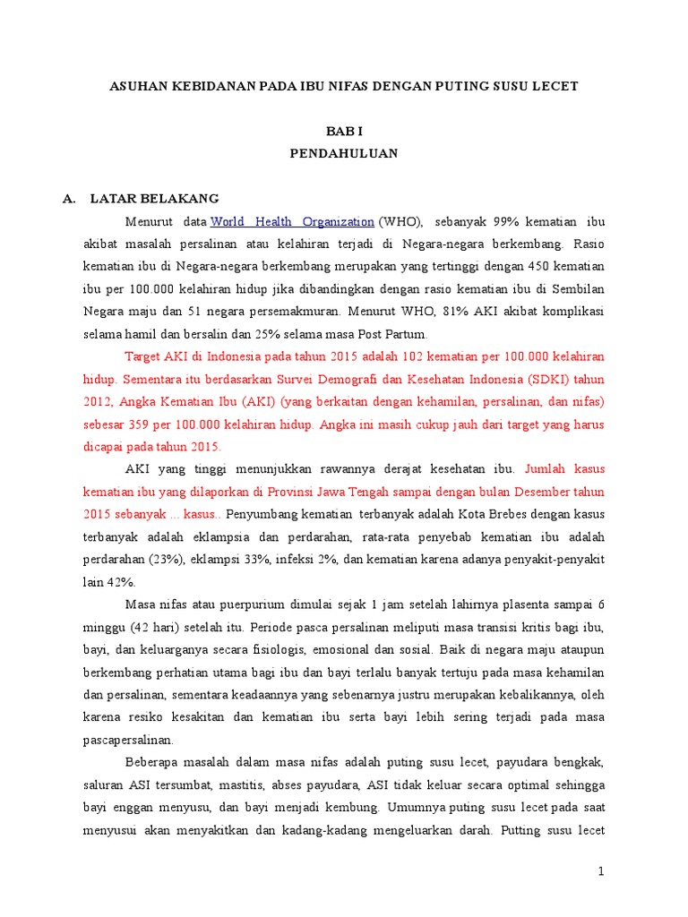 Asuhan Kebidanan Pada Ibu Nifas Dengan Puting Susu Lecet | PDF