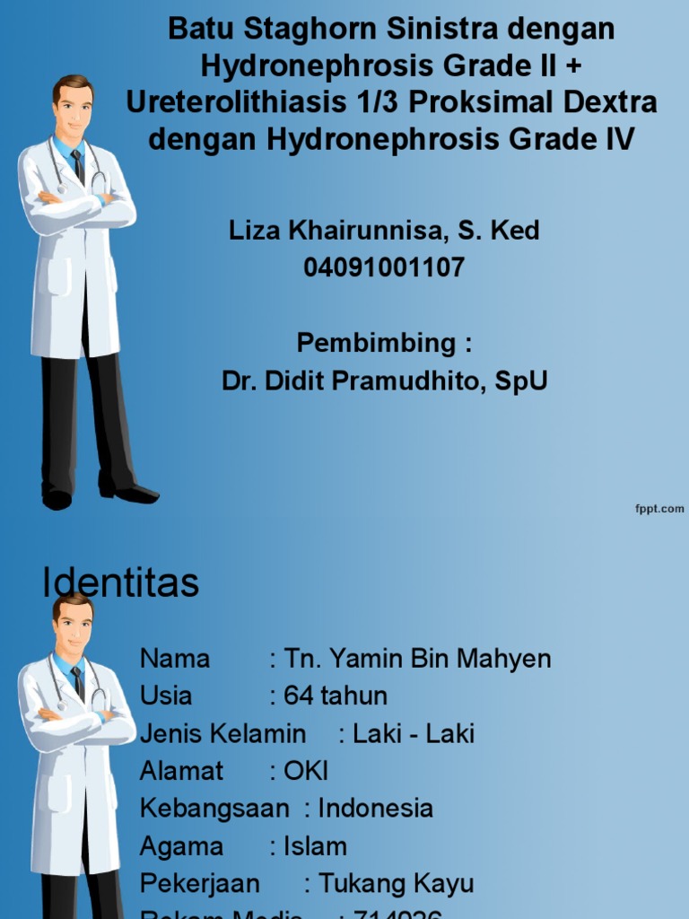 Batu Staghorn Sinistra Dengan Hydronephrosis Grade II + | PDF