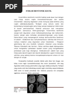 Foliasi and Non Foliasi | PDF