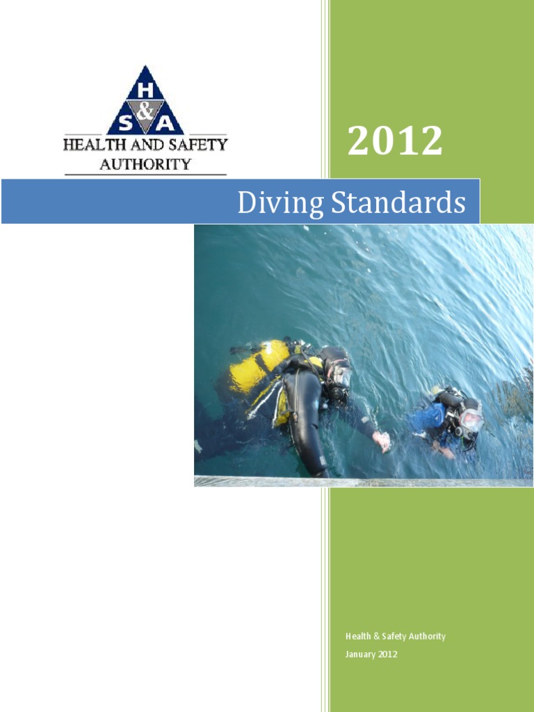 Diving Standards | PDF | Scuba Diving | Water Sports