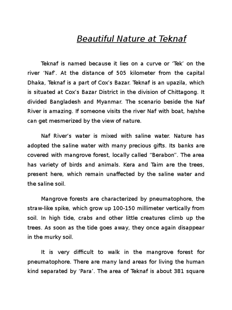 Teknaf: Nature and Resources Overview | PDF | Bengal | River