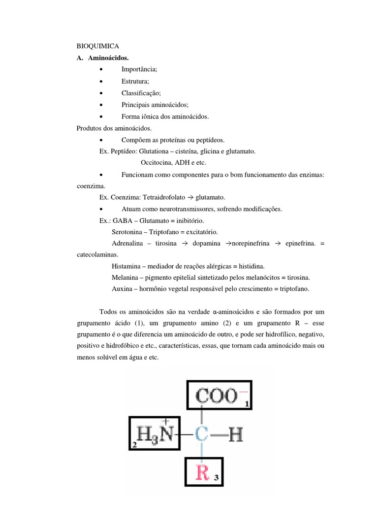 Resumo Bioquimica Básica | PDF | Glicolise | Fermentação