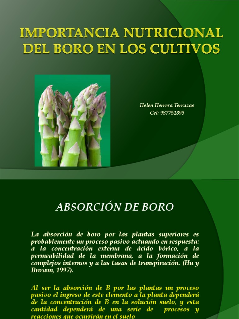 Importancia Nutricional Del Boro | PDF | Trifosfato de adenosina | Boro