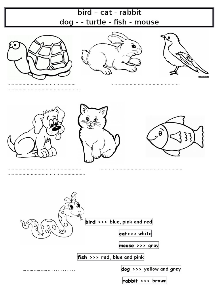 Animals - Write & Color - Worksheet | PDF