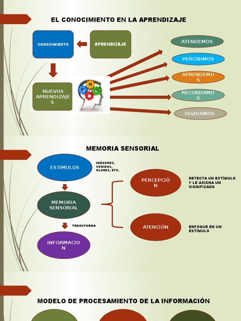 Teoria Eclectica- Gagne | Memoria | Aprendizaje