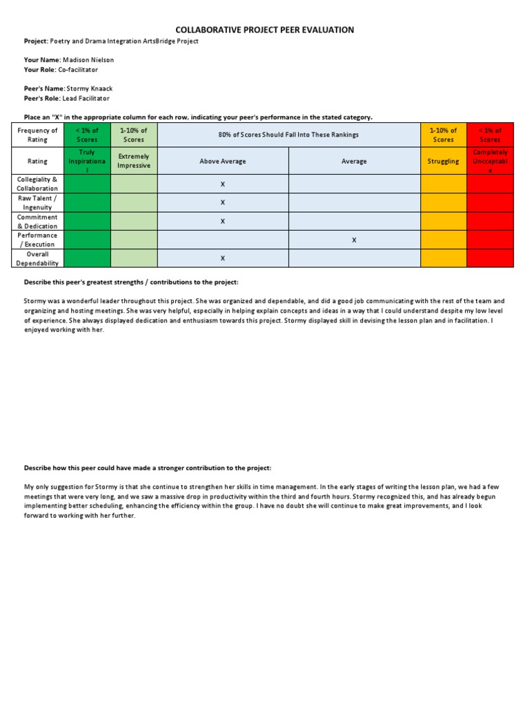 Collaborative Project Peer Evaluation | PDF