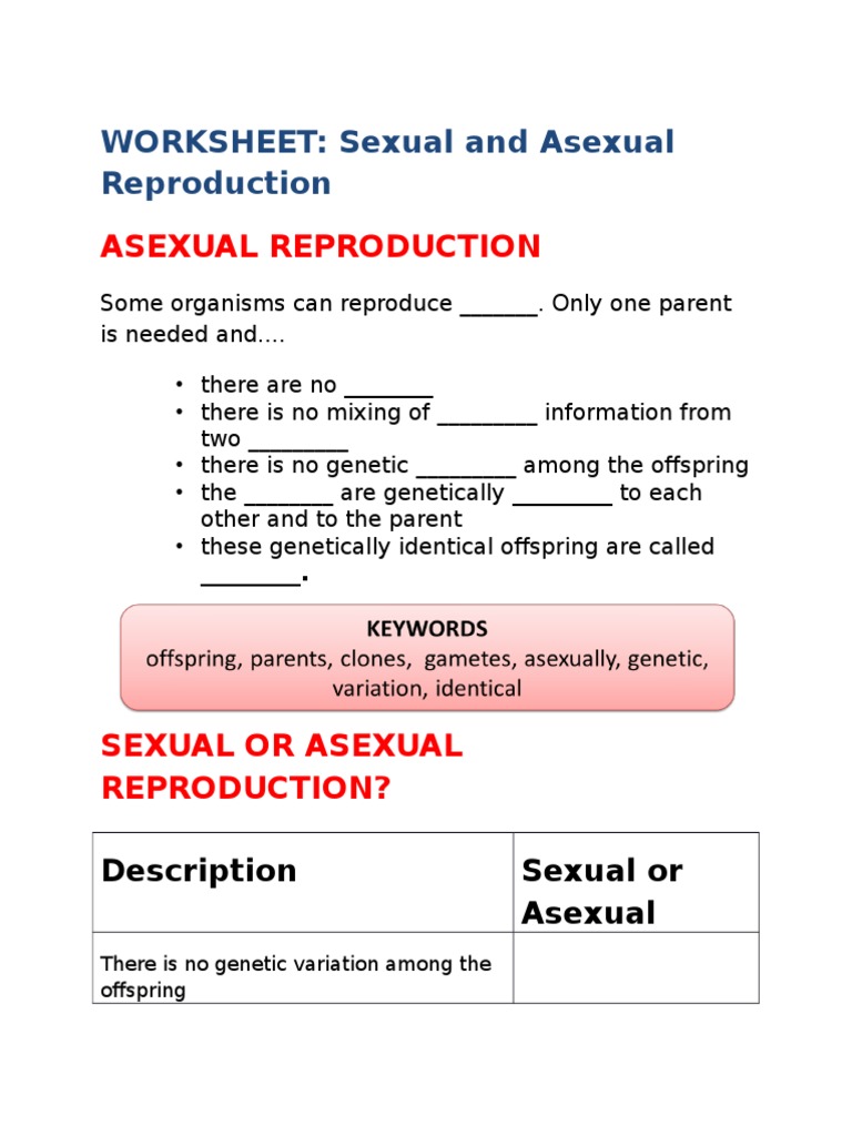 Sexual vs Asexual Reproduction Worksheet | PDF