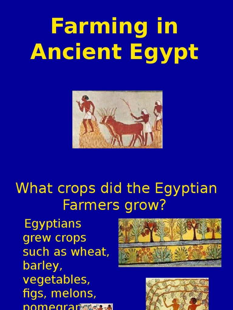 Ancient Egyptian Farming Basics | PDF | History