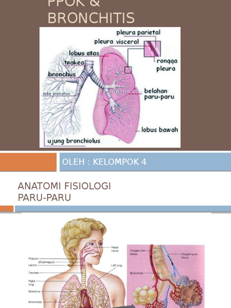 Ppok & Bronchitis | PDF | Pengembangan Diri | Kesehatan Holistik
