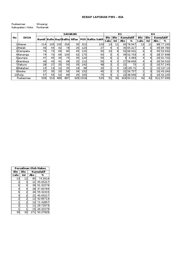 Contoh Pengisian Pws KIA | PDF