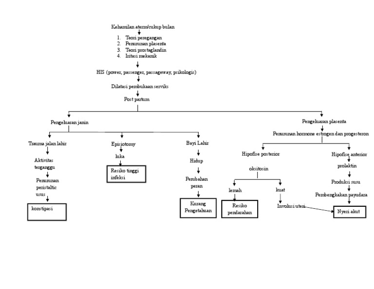 Pathway Post Partum | PDF