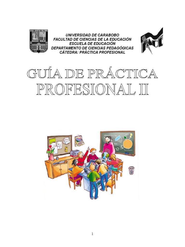 Guia de La Practica Profesional II 2009 | PDF | Plan de estudios | Maestros