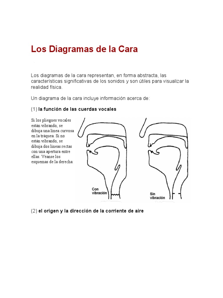 Los Diagramas de La Cara | PDF