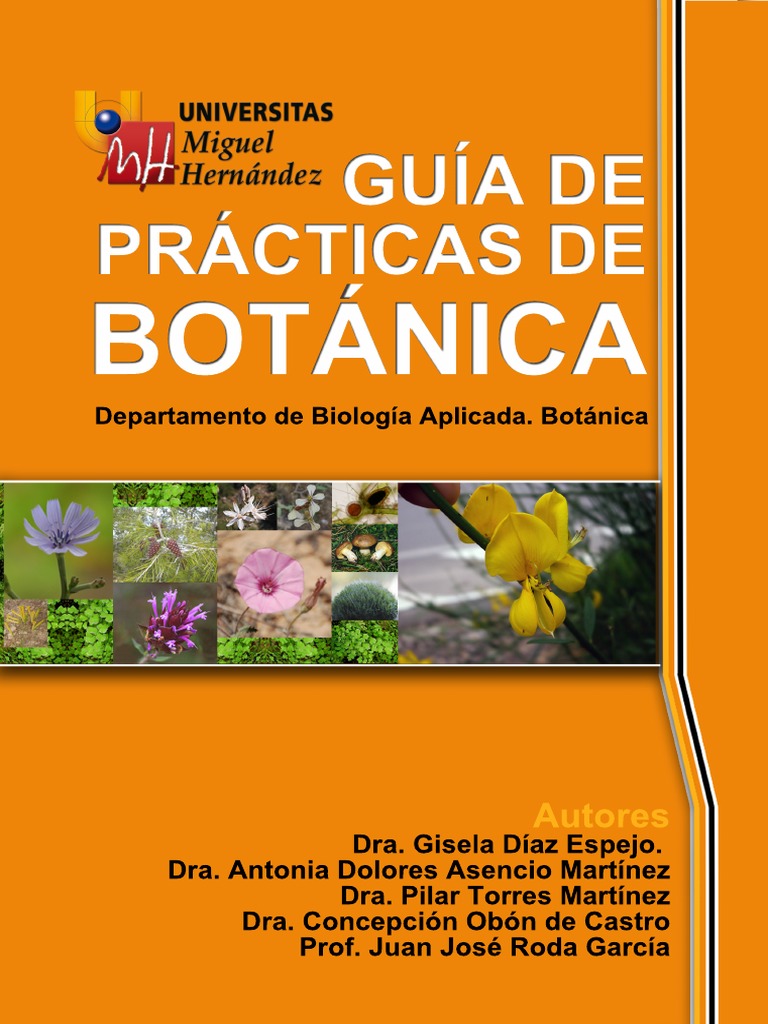 Guía de Prácticas de Botánica | PDF | Flores | Algas