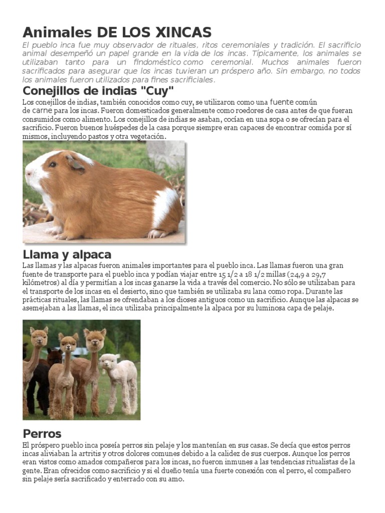 Animales DE LOS XINCAS | PDF | Imperio Inca | Agricultura