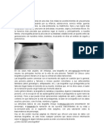 Estructura y partes de una biografía | PDF | Biografía | Narrativa