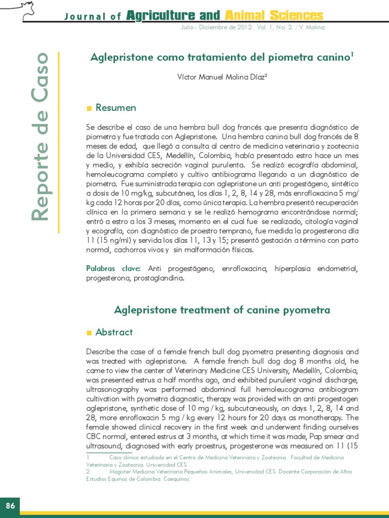 Aglepristone Como Tratamiento Del Piometra Canino | PDF ...