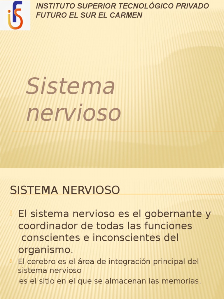 Diapositiva Sistema Nervioso | Descargar gratis PDF | Médula espinal | Cerebro