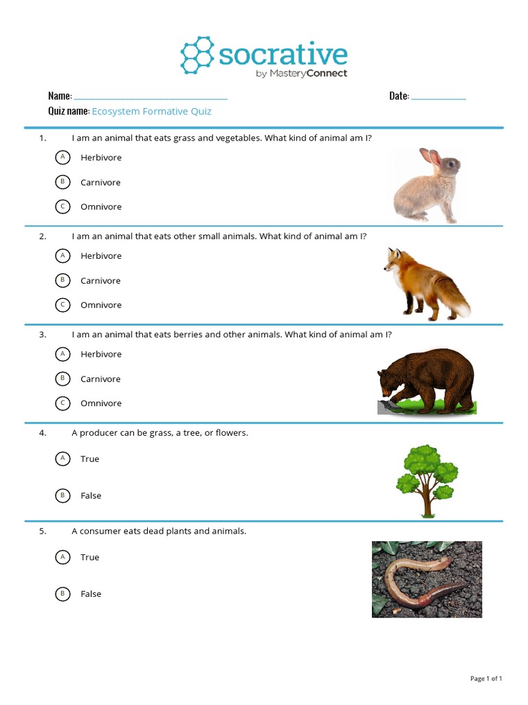 Quiz Ecosystemformativequiz | PDF | Wellness | Science & Mathematics