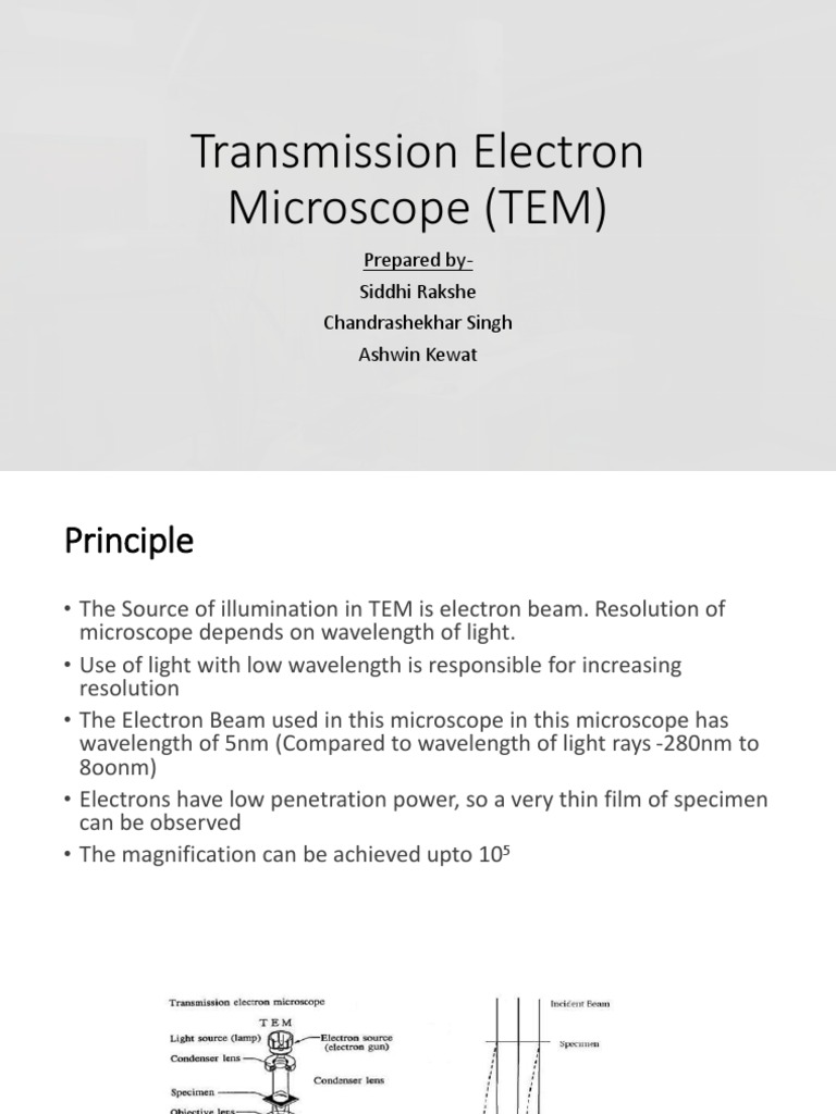 Transmission Electron Microscope (TEM) | PDF | Transmission Electron ...