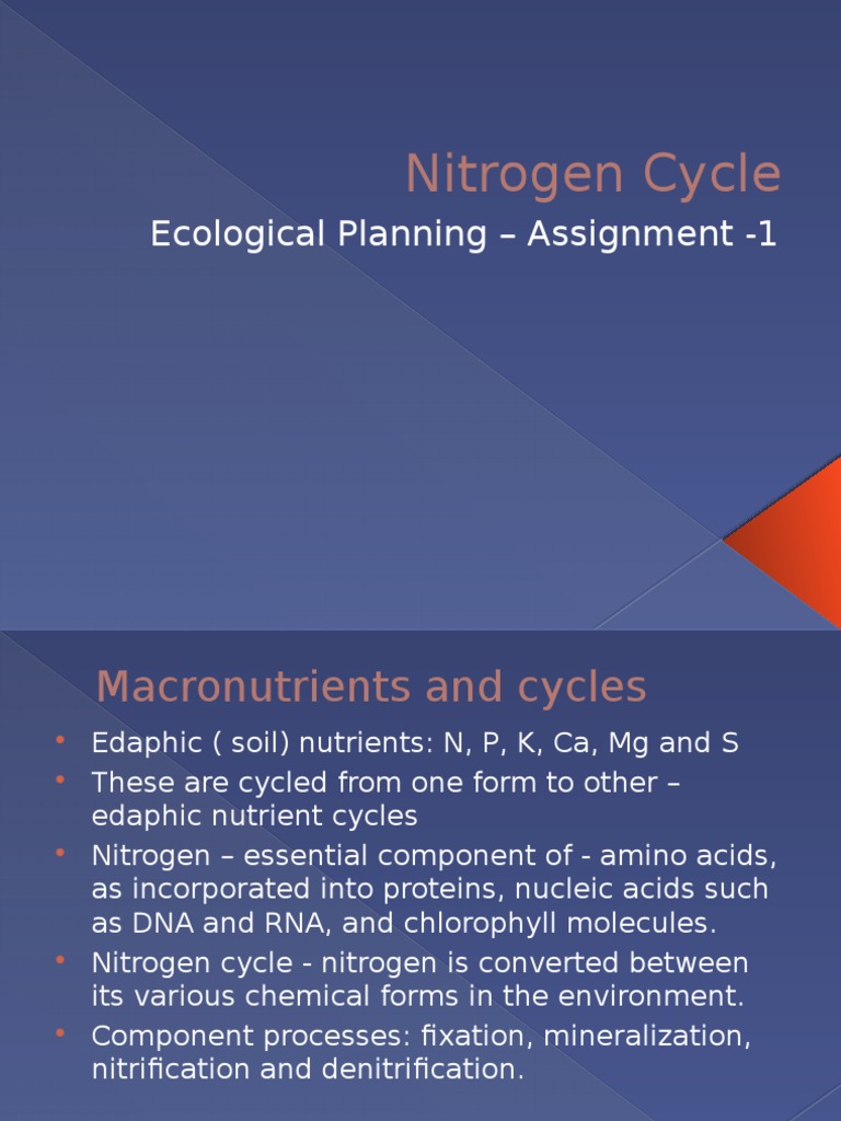 Nitrogen Cycle | PDF | Ecology | Nitrogen