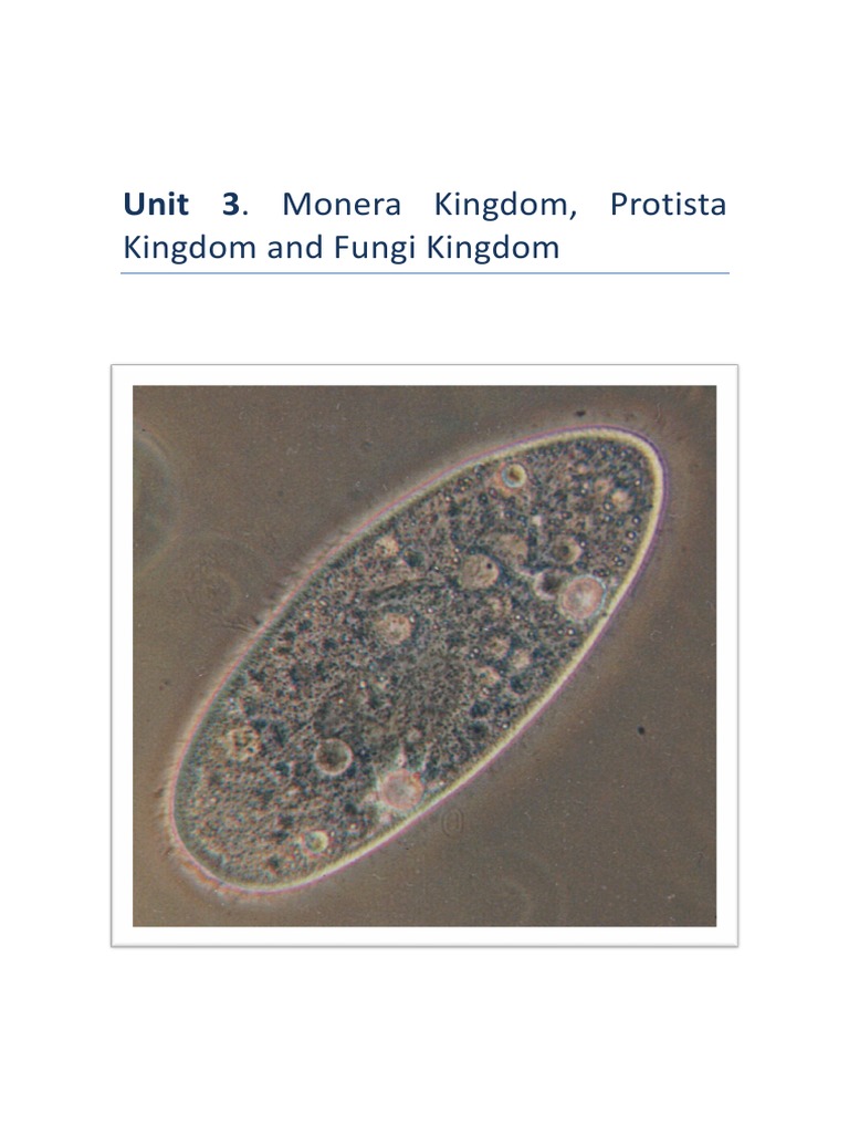 Unit 3 Monera Kingdom | Bacteria | Cell (Biology)
