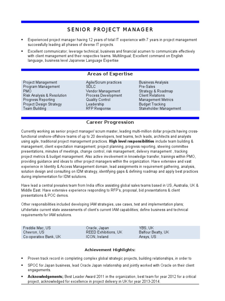 Senior Project Manager: Areas of Expertise | PDF | Oracle Database ...