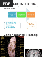 Marcas Oseas | PDF | Sistema musculoesquelético | Sistema esquelético