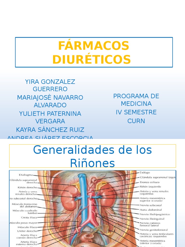 Diuréticos: Clasificación y Mecanismos | PDF | Farmacocinética | Riñón