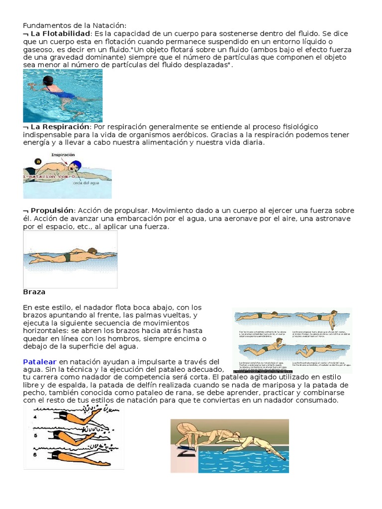 Fundamentos Esenciales de la Natación | PDF