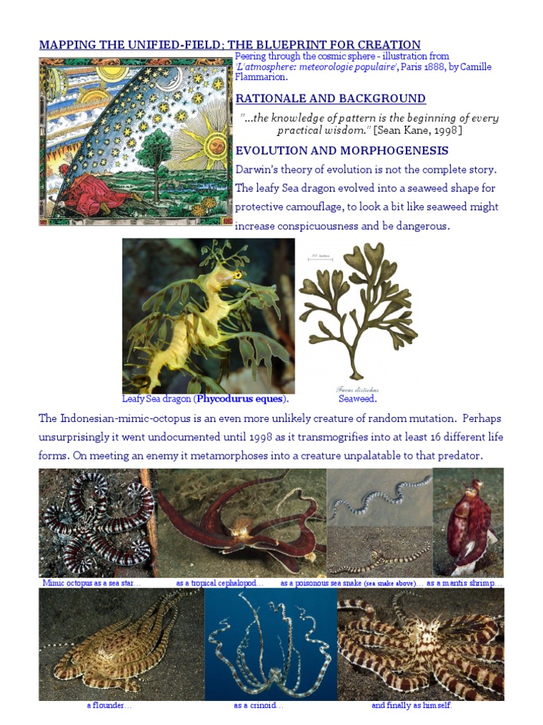 MAPPING THE UNIFIED-FIELD THE BLUEPRINT FOR CREATION Mini | PDF | Field ...