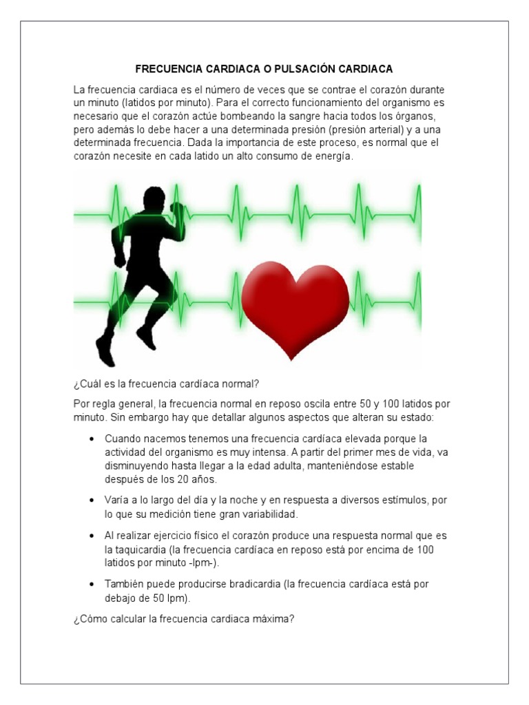 Frecuencia Cardiaca o Pulsación Cardiaca | Ritmo cardíaco | Corazón