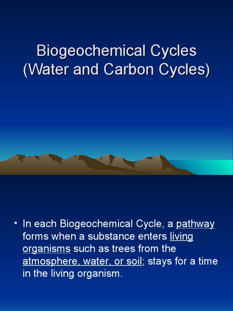 Biogeochemical Cycles (Water and Carbon Cycles) | PDF