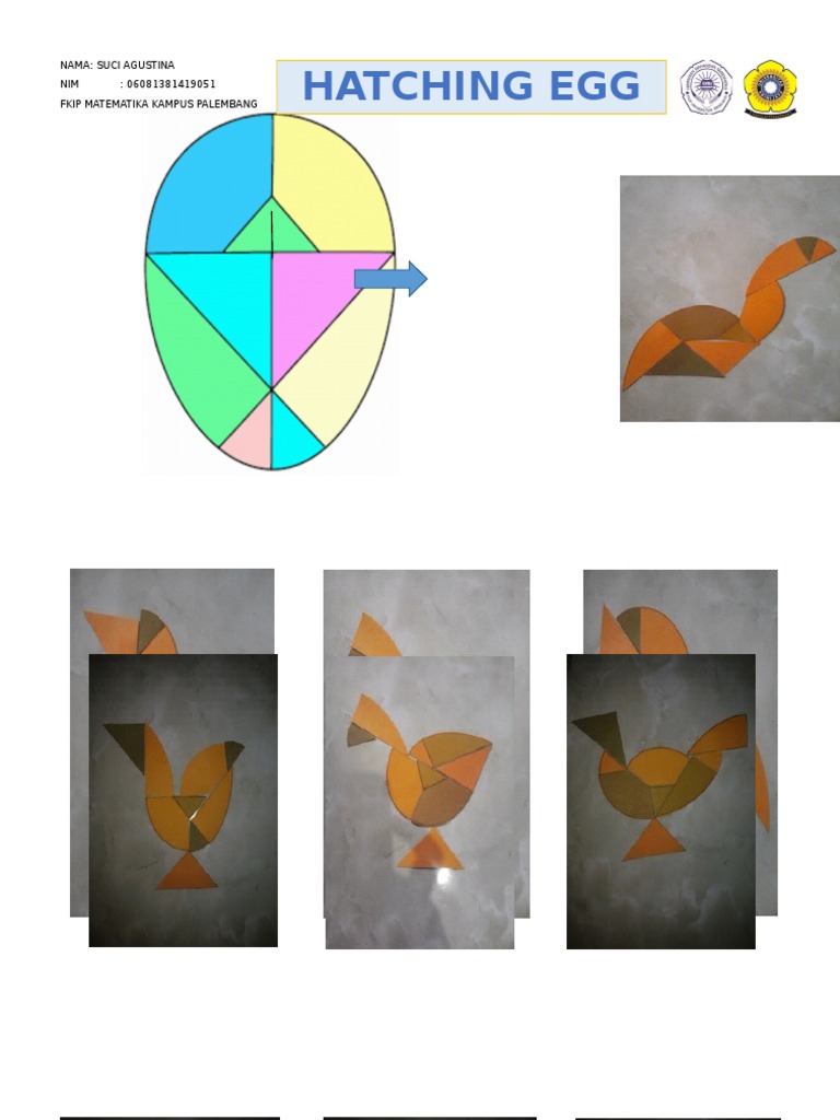 Hatching Egg Project by Suci Agustina | PDF