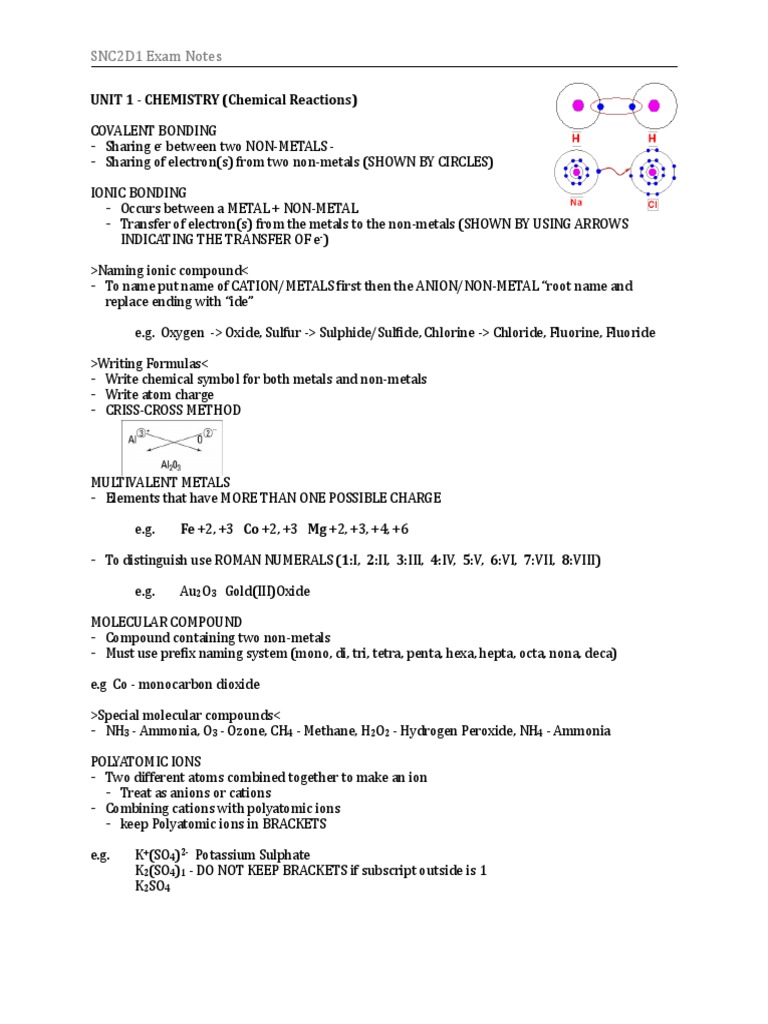 Grade 10 Academic Science Notes Exam, Course Review | PDF | Human ...