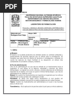 Anatomía y Cuidado de la Rata Wistar | PDF