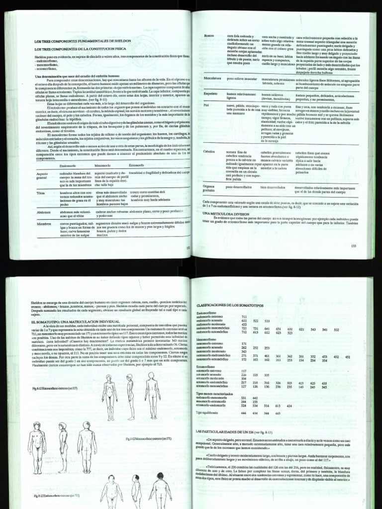 Biotipos Sheldon | PDF