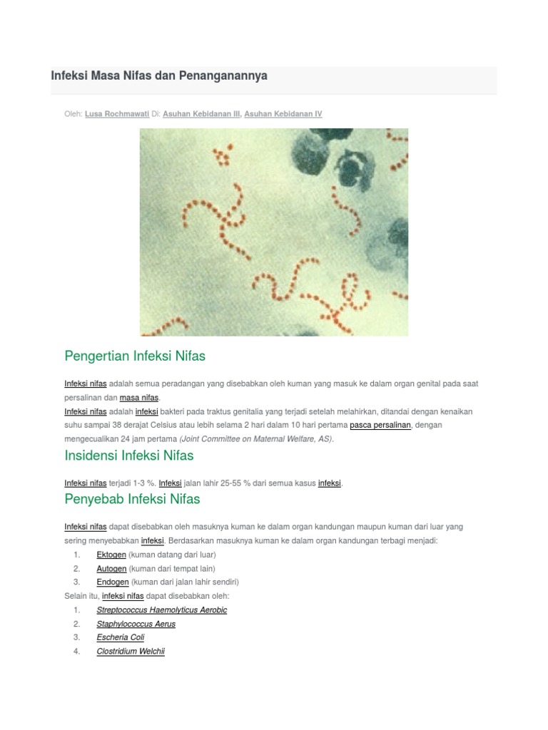 Infeksi Masa Nifas Dan Penanganannya | PDF | Sains & Matematika