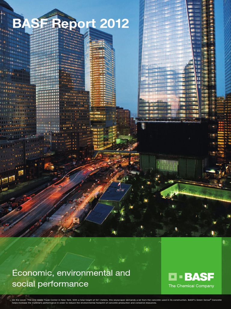 BASF Report | PDF