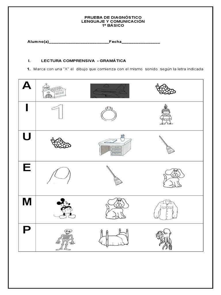 Prueba Diagnóstica Lenguaje 1º Básico | PDF | Lingüística